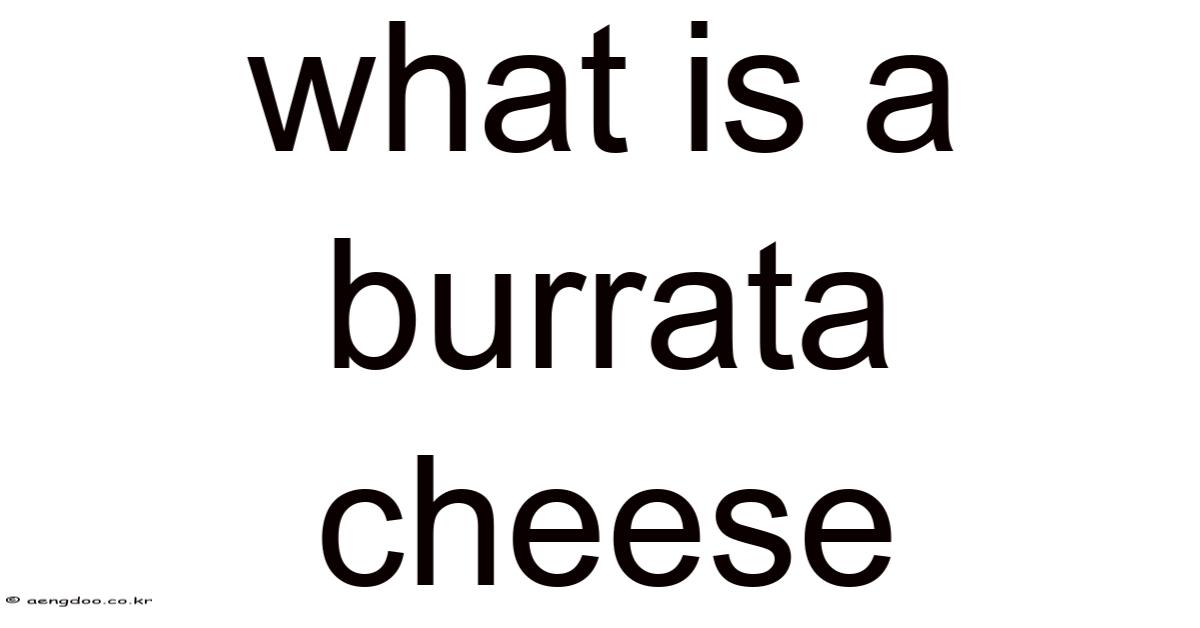 What Is A Burrata Cheese